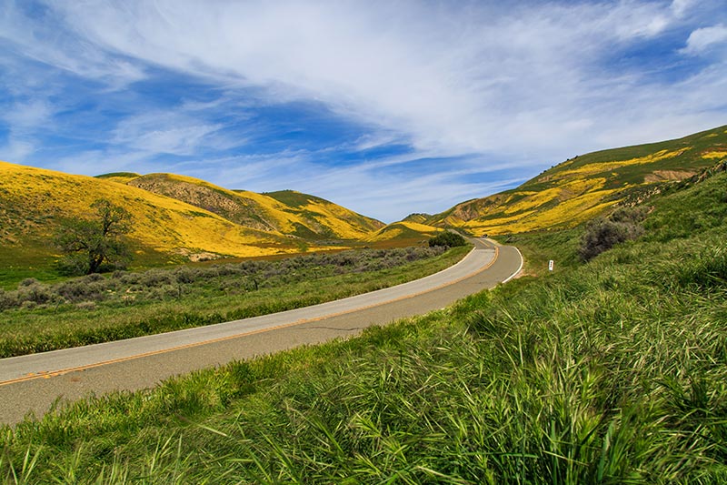 What Are the Top 5 States With the Lowest Humidity? | 55places