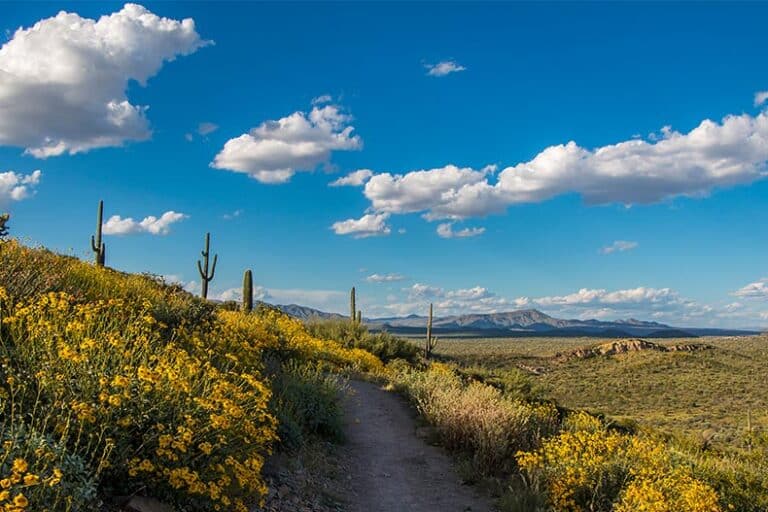 What It’s Like Living in Scottsdale, AZ for Active Adults