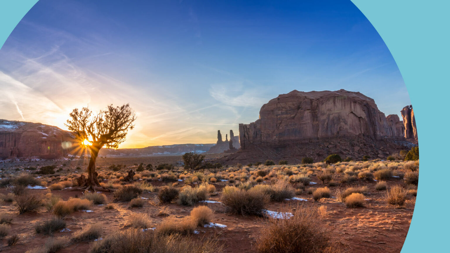 The Snowbirds Arizona Guide