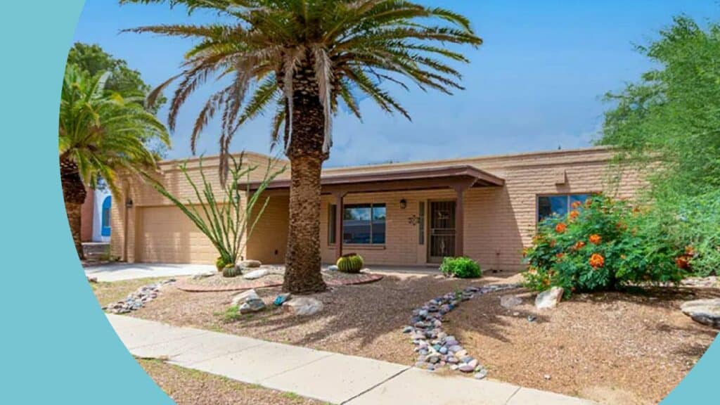 The Snowbirds Arizona Guide