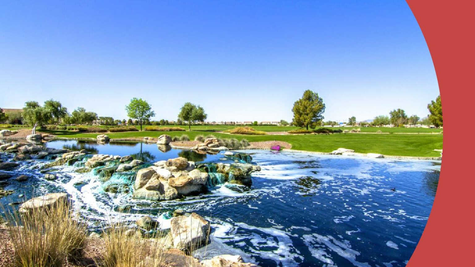 The Snowbirds Arizona Guide