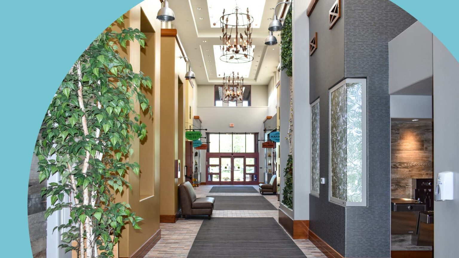 The Snowbirds Arizona Guide