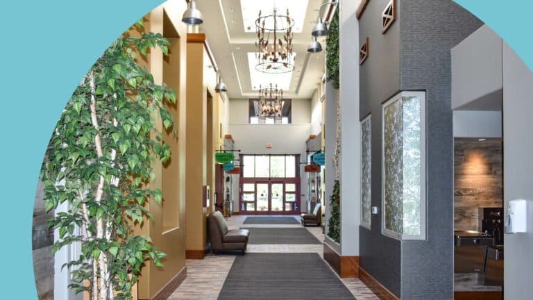 The Snowbirds Arizona Guide