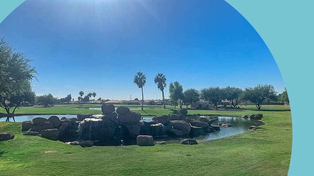 The Snowbirds Arizona Guide