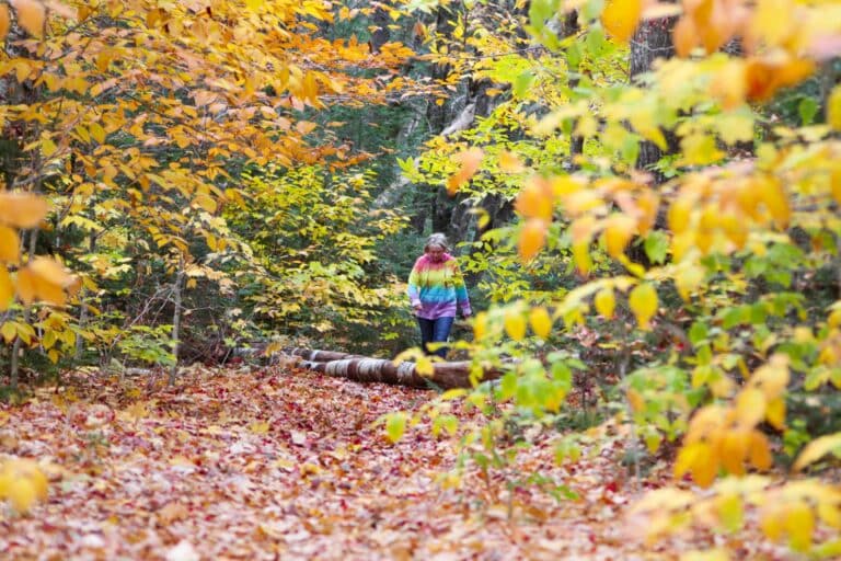 The Best Places to Retire in New England